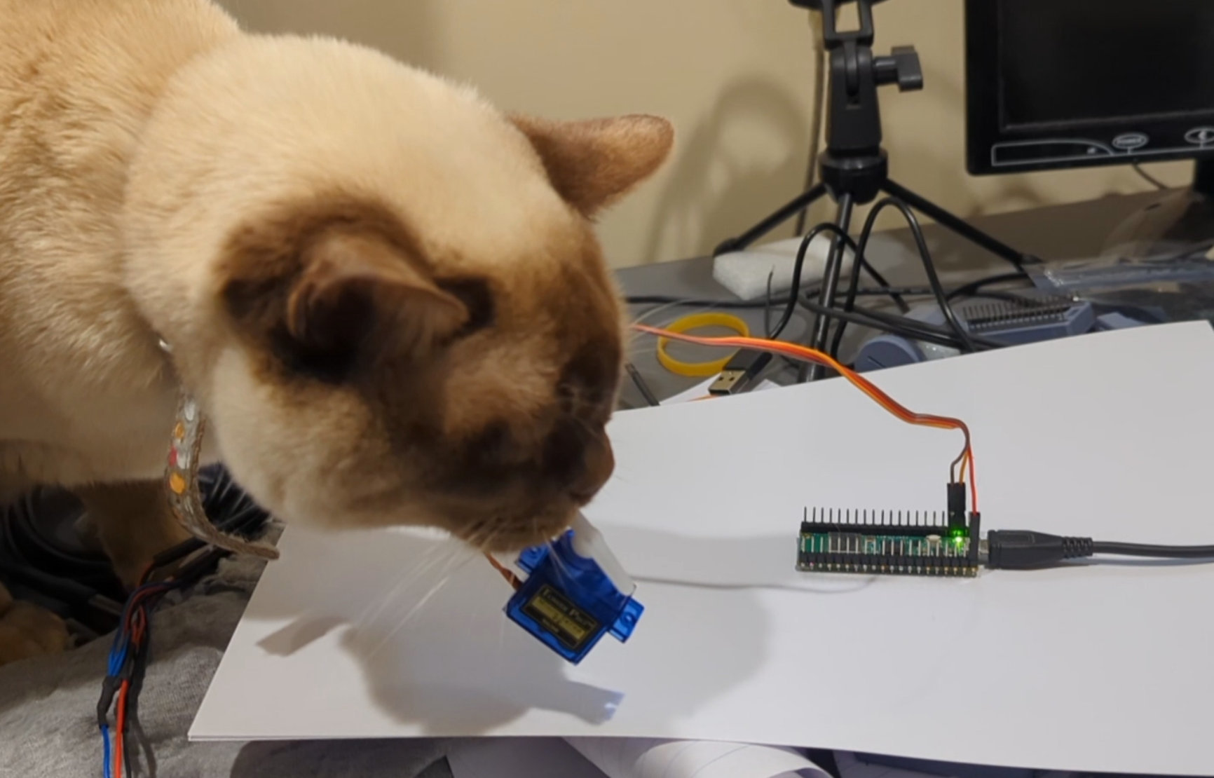 Leanpub: Publish Early, Publish Often