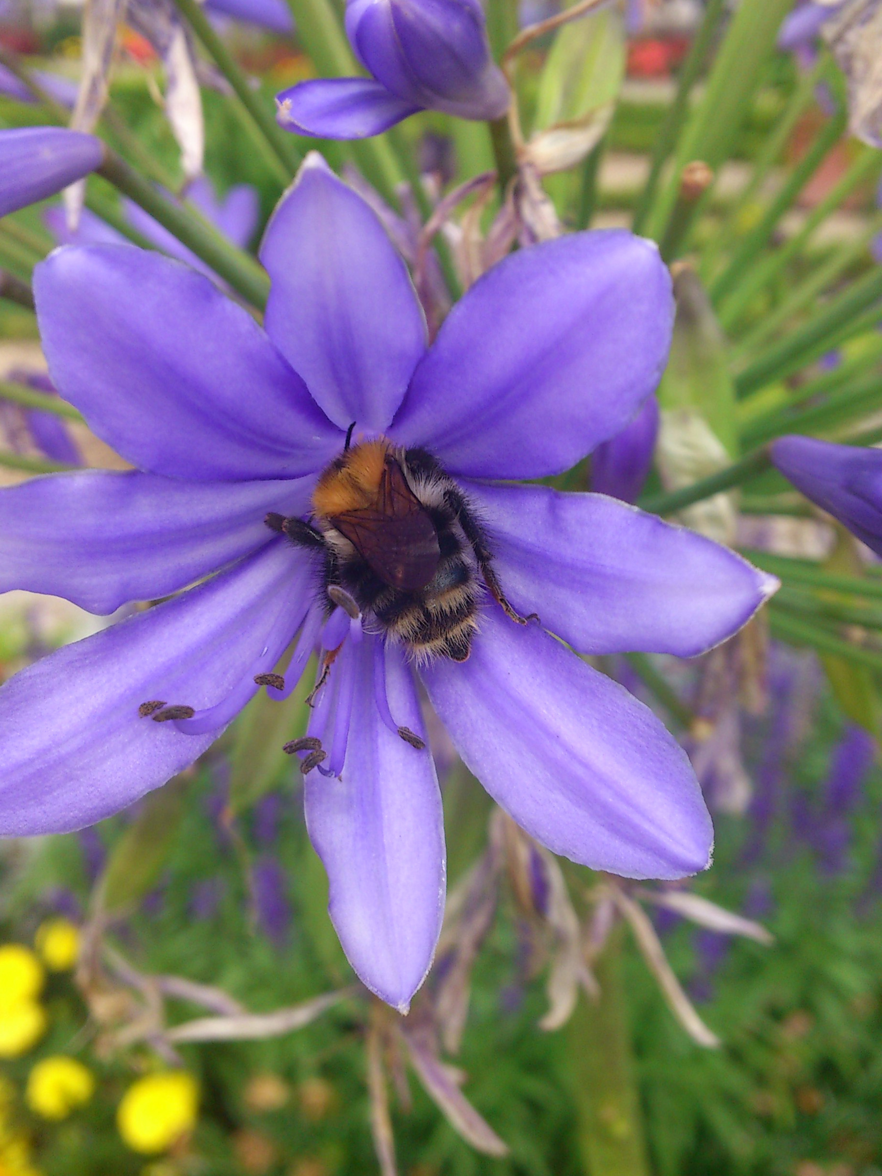 Read Visitors | Leanpub