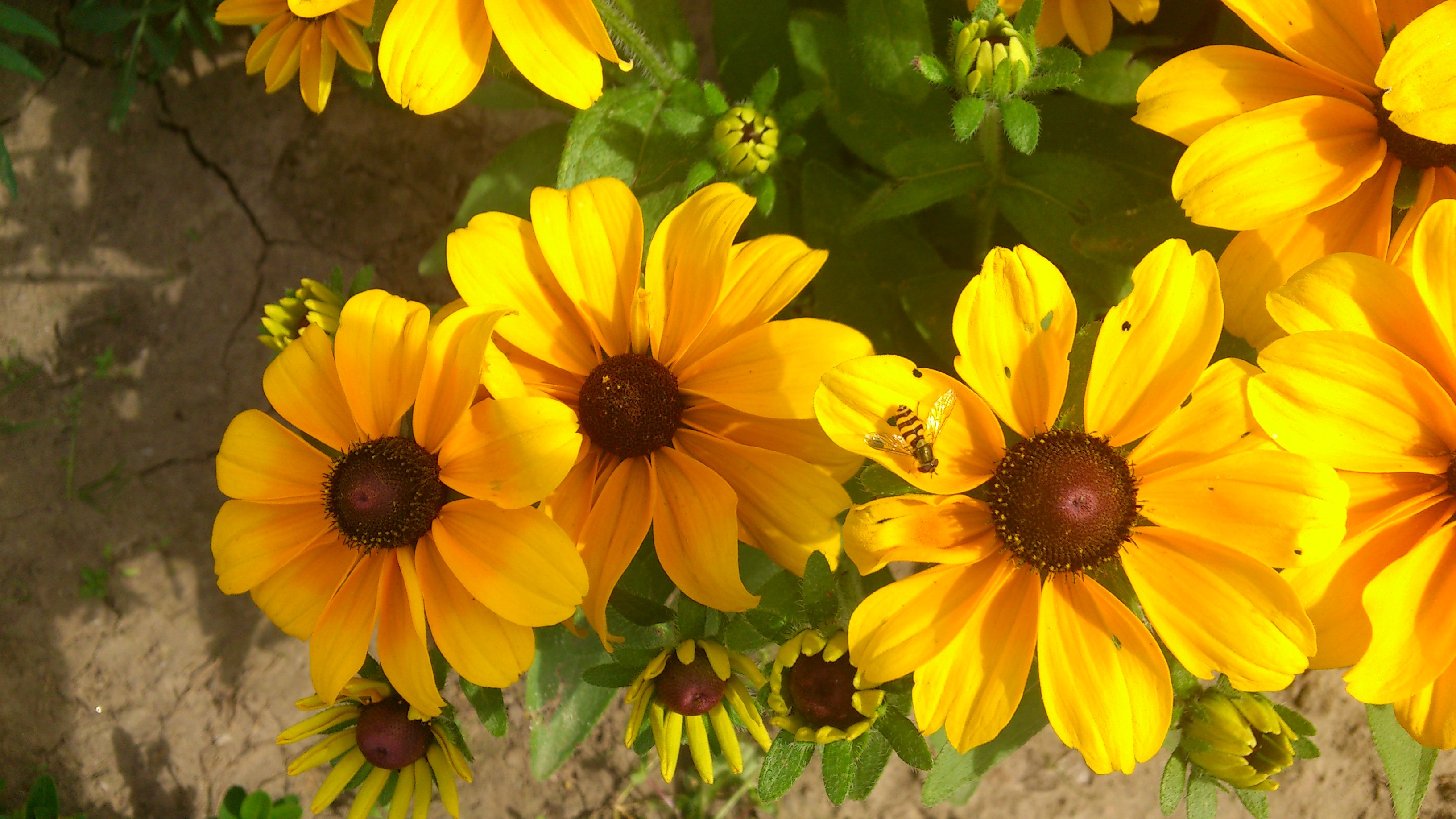 Read Visitors | Leanpub