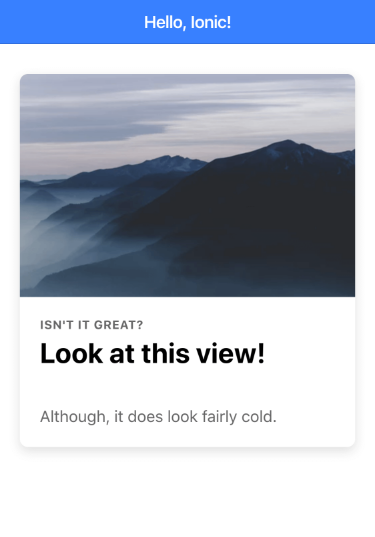 Read Learn Ionic 5 From Scratch | Leanpub